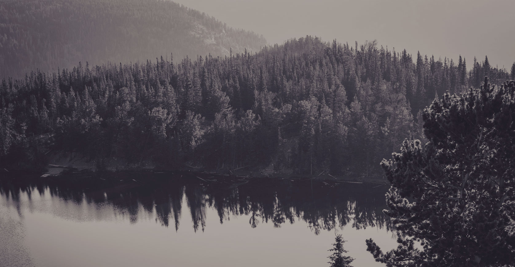 Home - Video Background - GBG GLOBAL